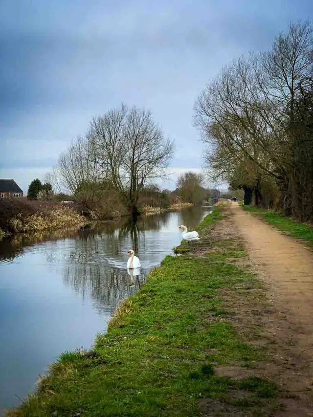 One of the best Alrewas circular walks - Marvellous Middle England